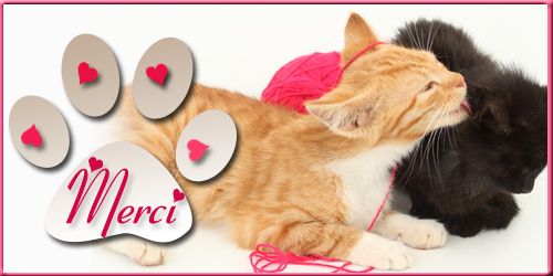 CARTE : MERCI CARTE : MERCI